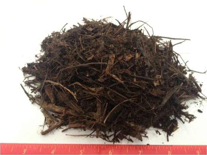 Forest Floor Mulch – BradsHomeFurnishings
