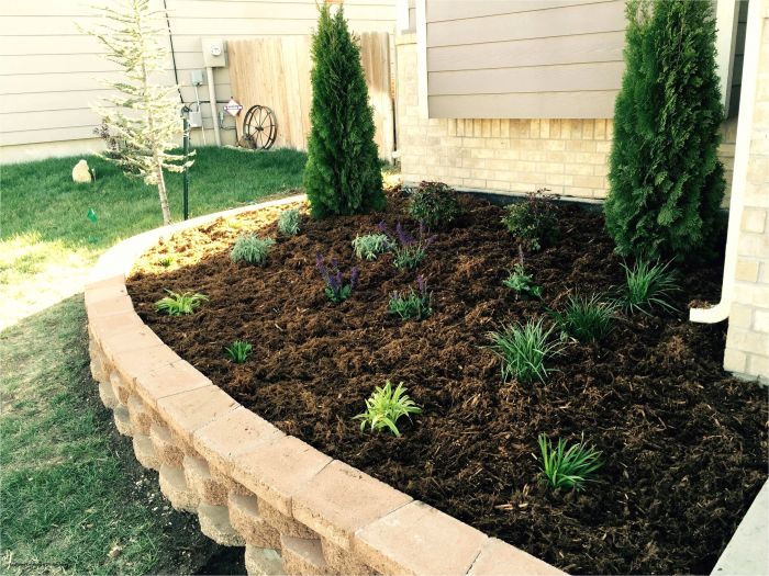 Backyard Drainage Systems Backyard Drainage Ideas Landscaping Garden ...